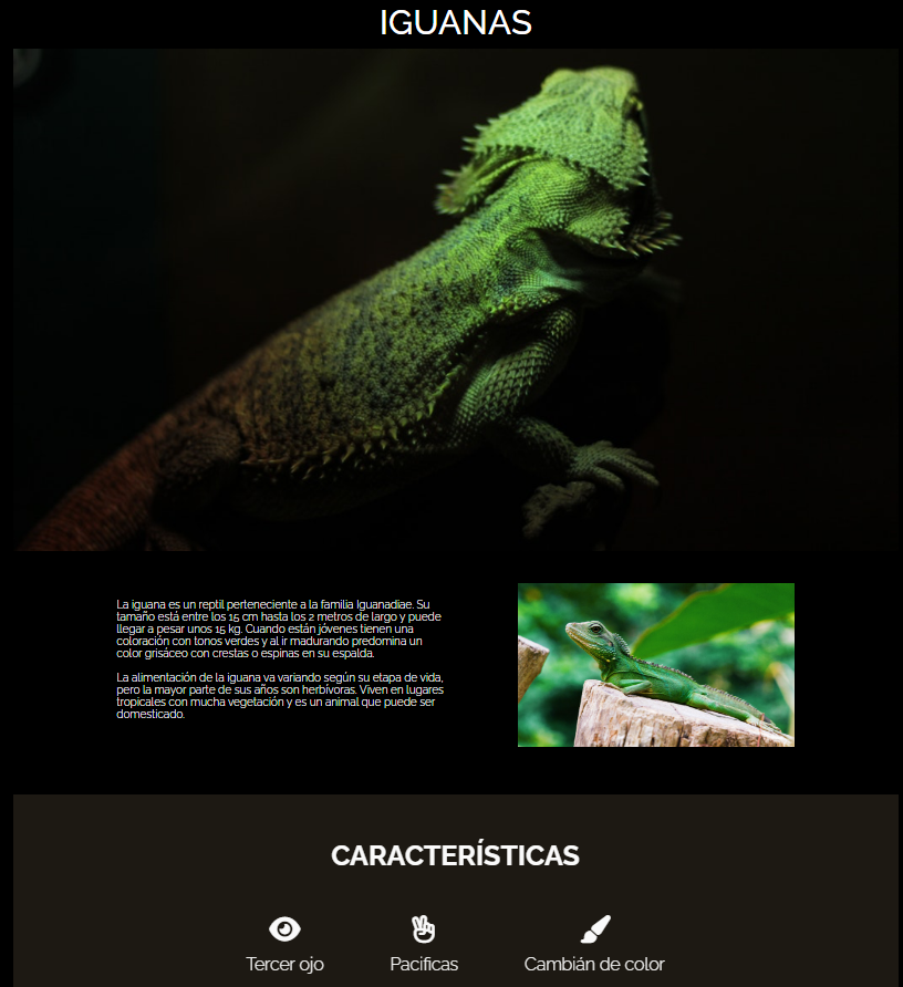 Portafolio Javiera Venegas